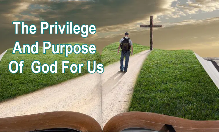 The Privilege And Purpose Of God For Us