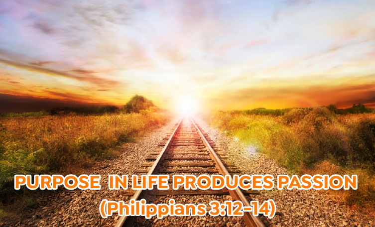 PURPOSE IN LIFE PRODUCES PASSION